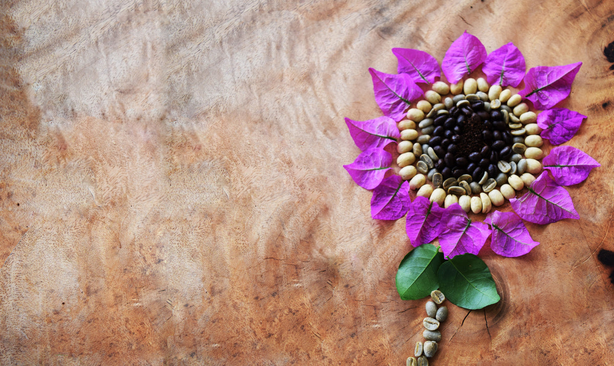 A Greener Café – Kona Coffee & Tea