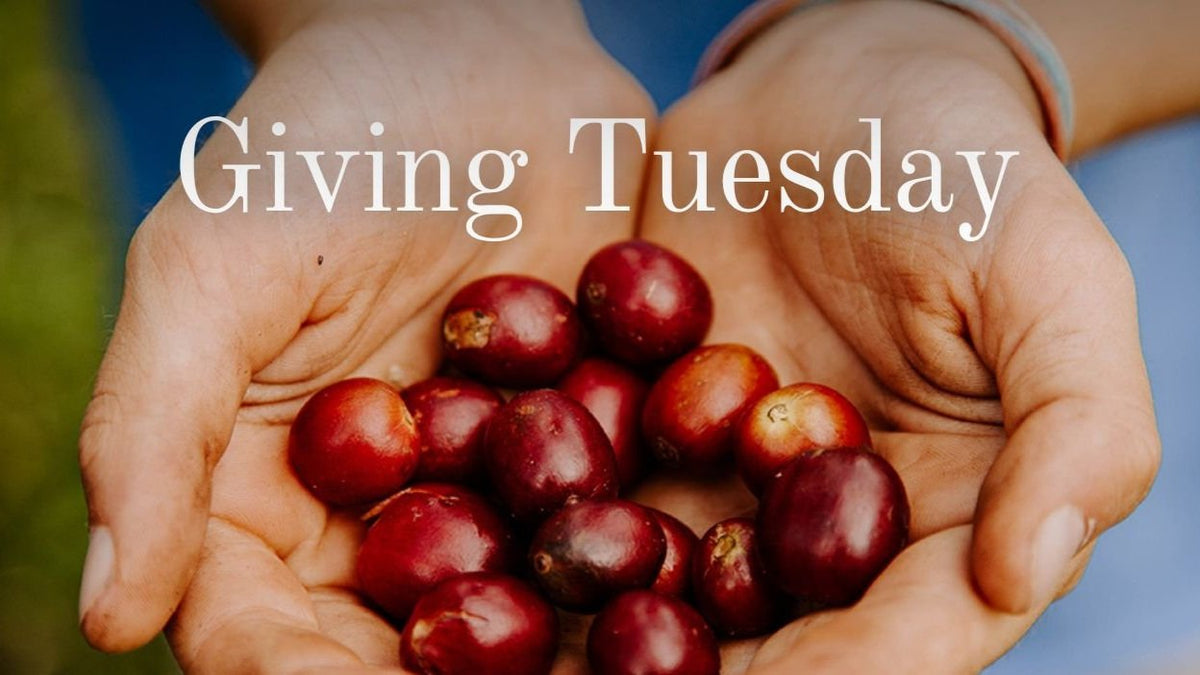 Giving Tuesday: Your Purchase Helps Hawaii's Children Heal – Kona ...